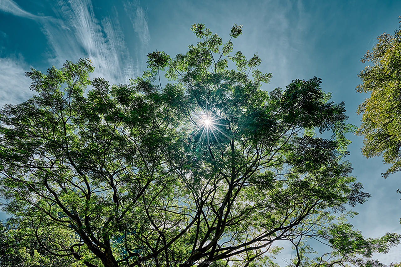 FE PZ 16-35mm F4 G | Sebuah Evolusi Lensa Power Zoom Sudut Lebar ...