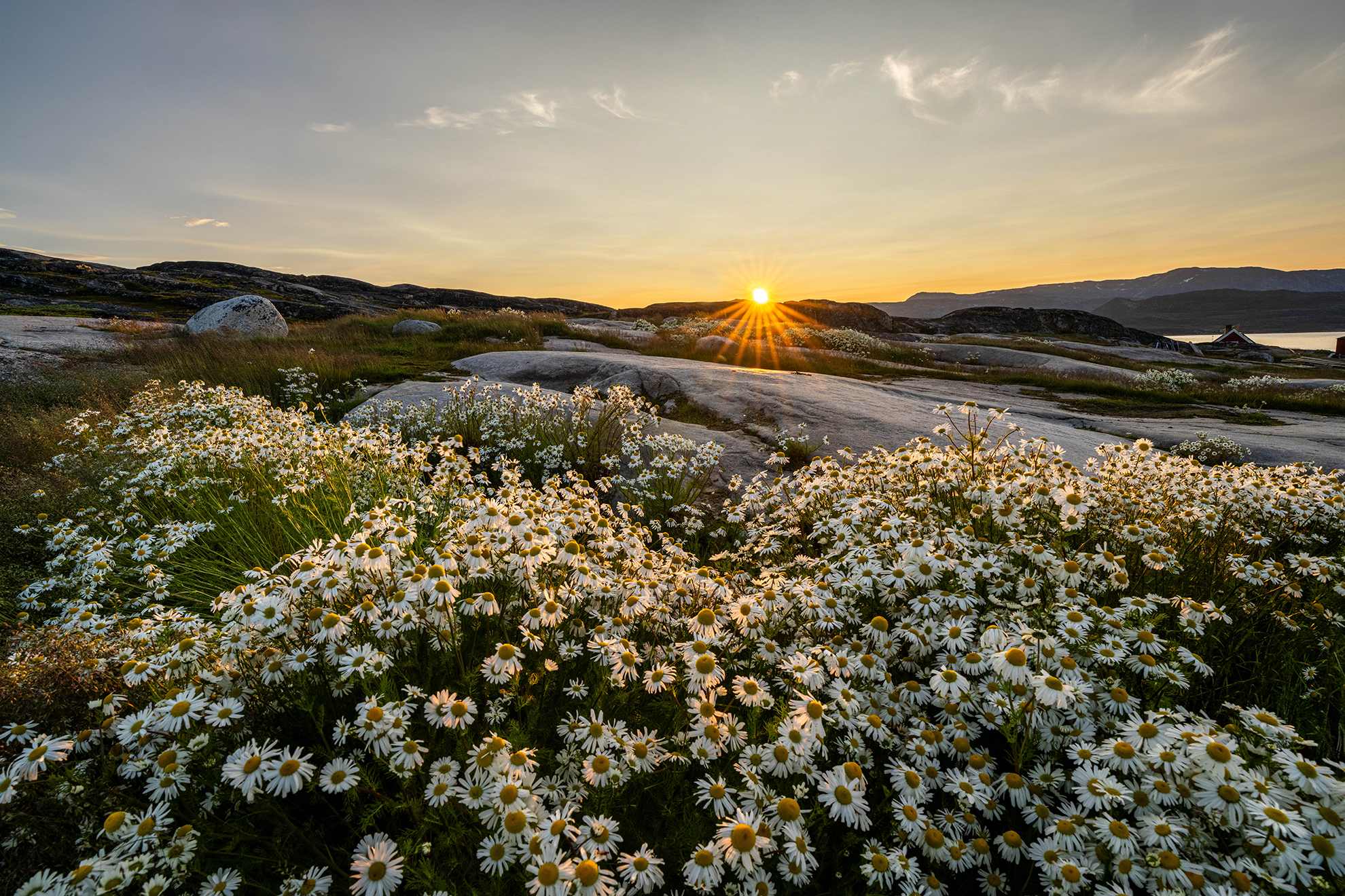 Step Into the Scene: The Immersive Power of Ultra-Wide Angle Lenses ...